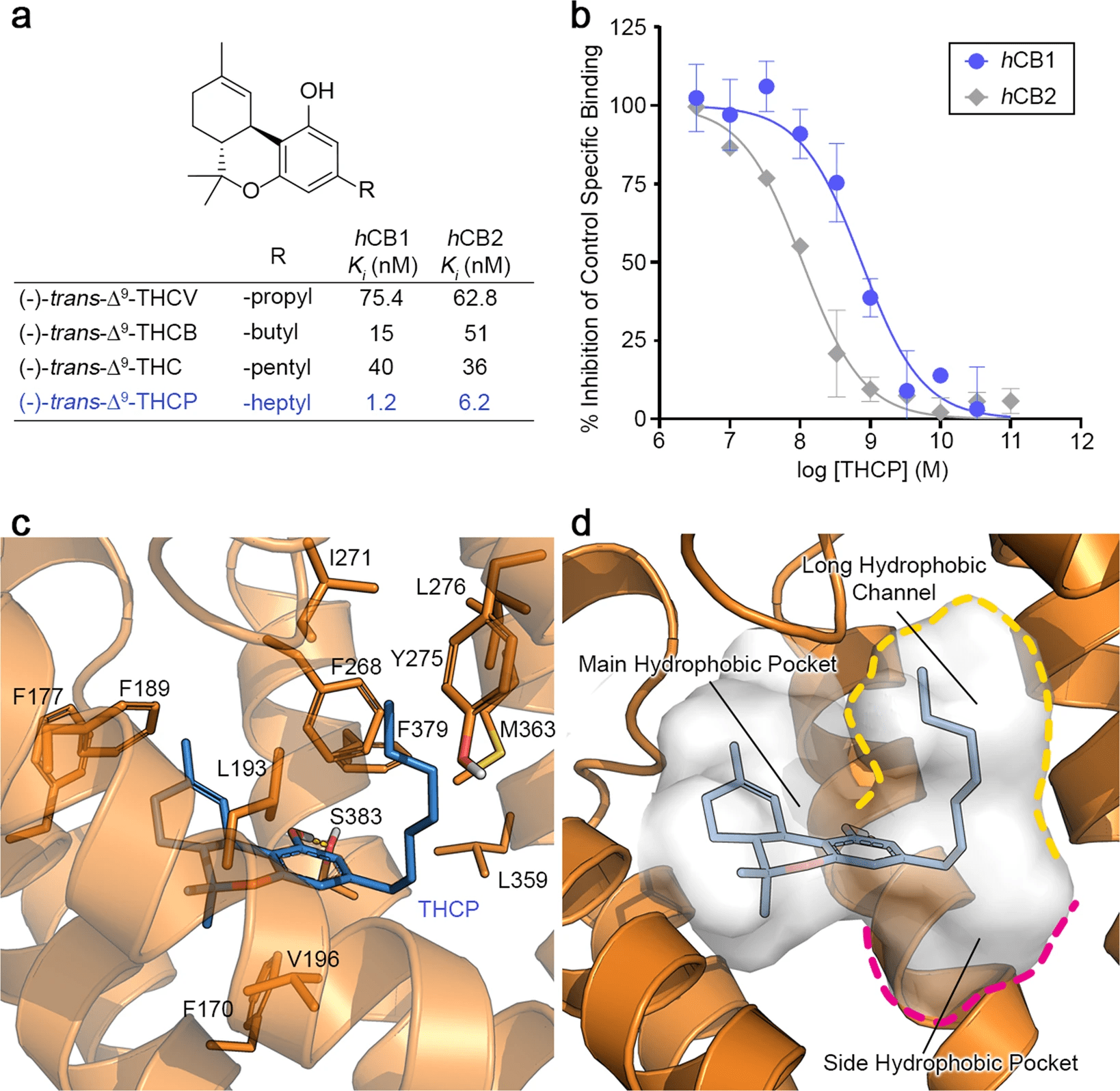 Interesting Molecules Archives