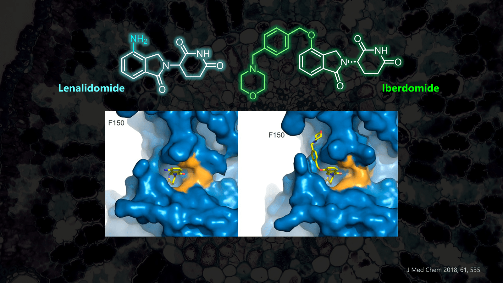 Thalidomide Tragedy: Horror Drug or Miracle? – Total Synthesis ...