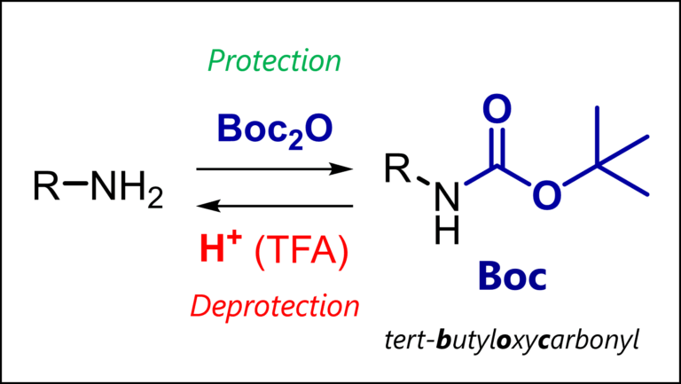 Boc Protecting Group: N-Boc Protection & Deprotection Mechanism
