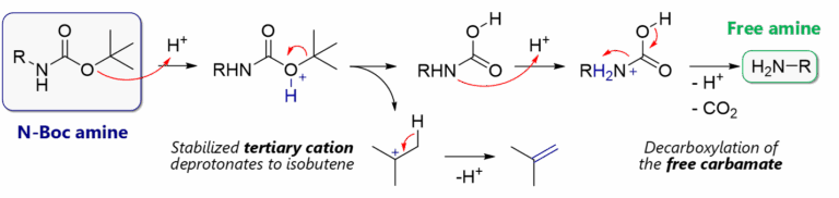 Boc Protecting Group: N-Boc Protection & Deprotection Mechanism