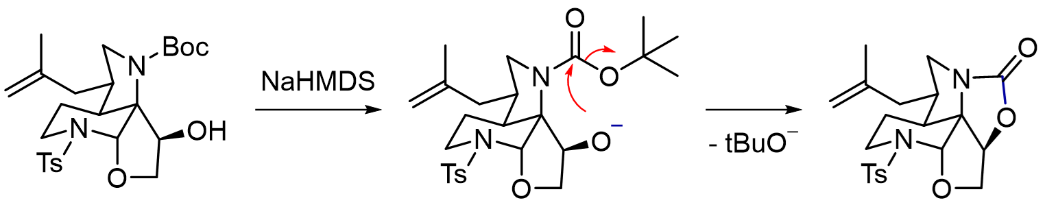 Boc Protecting Group: N-Boc Protection & Deprotection Mechanism