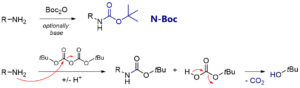 Boc Protecting Group: N-Boc Protection & Deprotection Mechanism