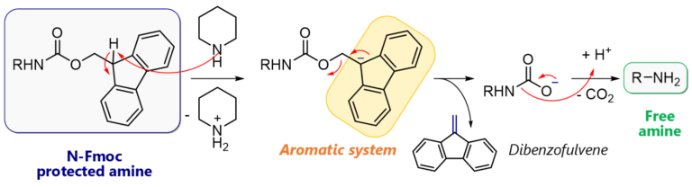 Fmoc Protecting Group: Fmoc Protection & Deprotection Mechanism