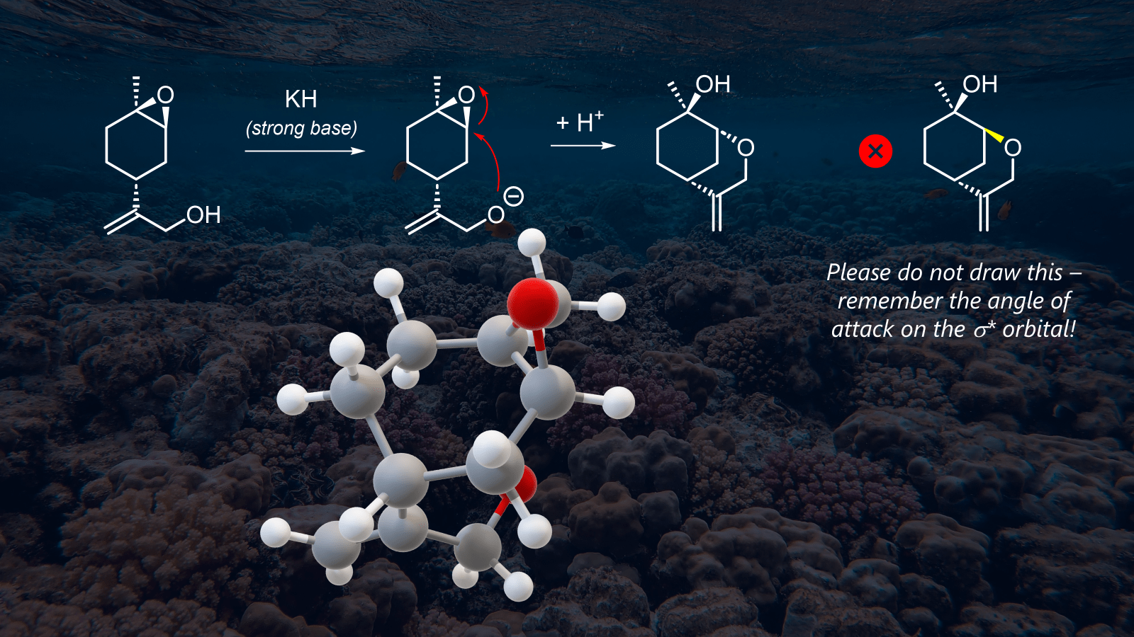 SN2 Reaction Explanation & Mechanism