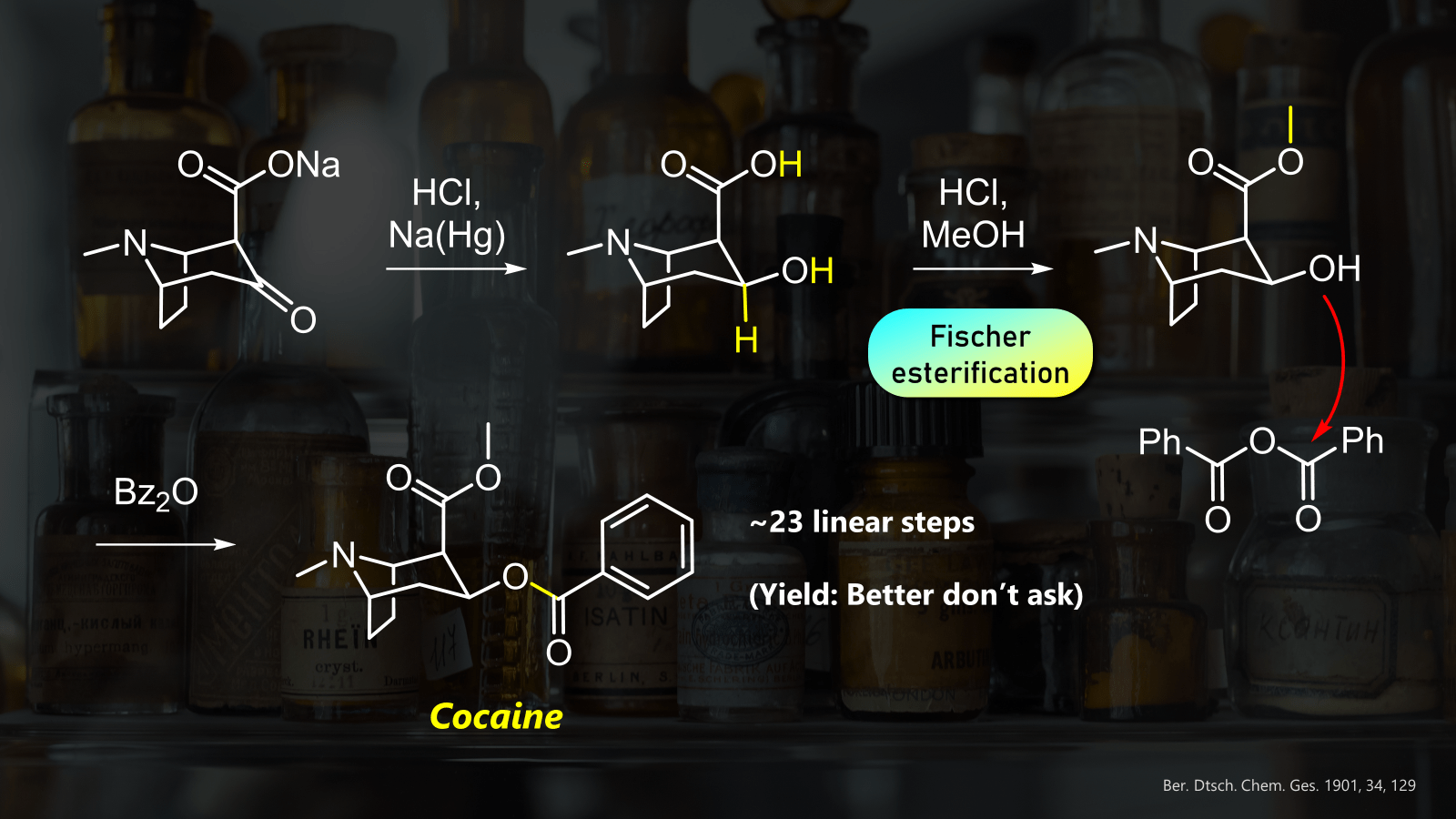 Total Synthesis Of Cocaine (Wilstätter) – Total Synthesis - Organic ...
