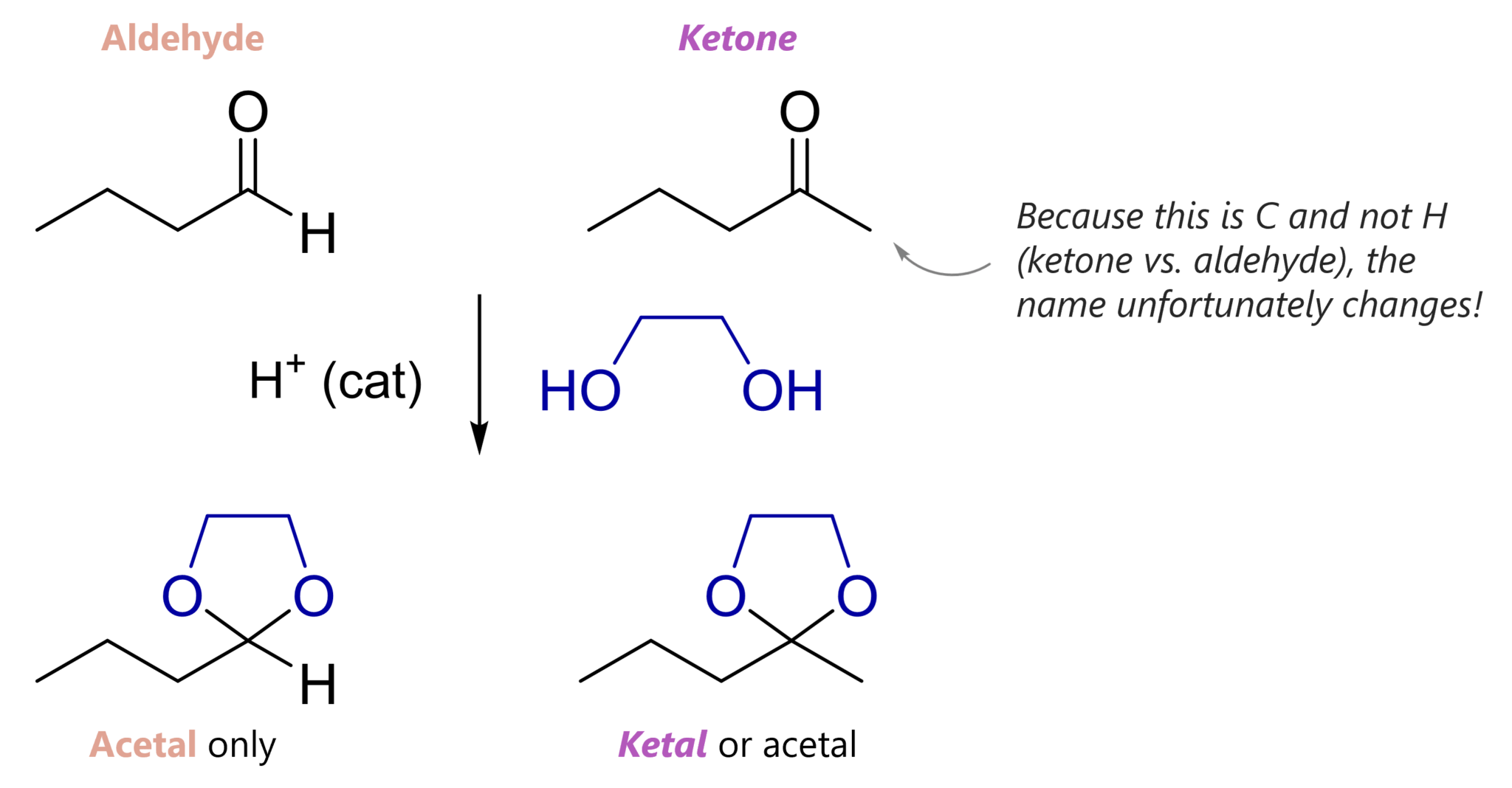 Acetal Protecting Group & Mechanism