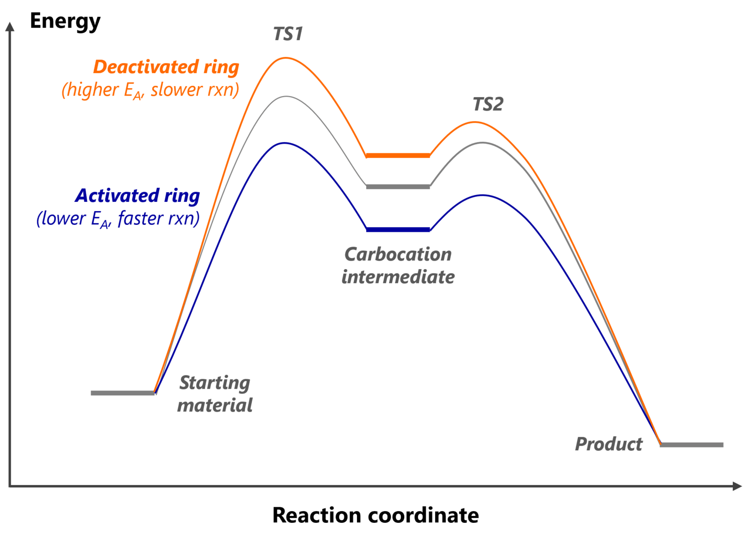 Electrophilic Aromatic Substitution Mechanism & Key Concepts