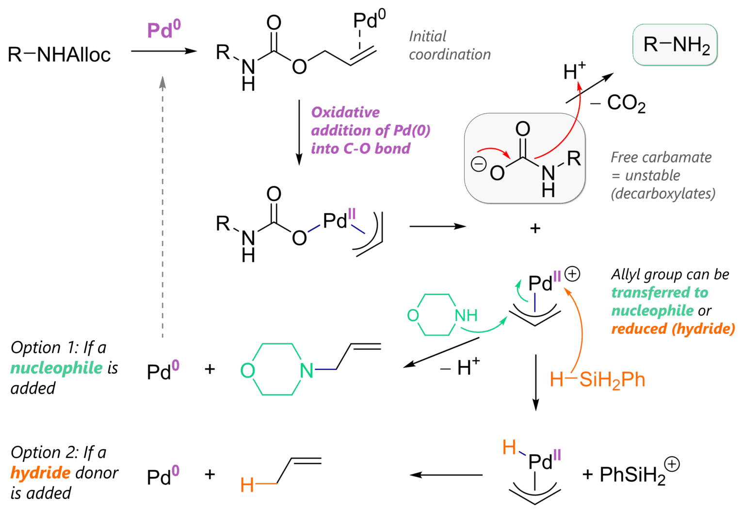 Alloc Protecting Group: Alloc Protection & Deprotection Mechanism
