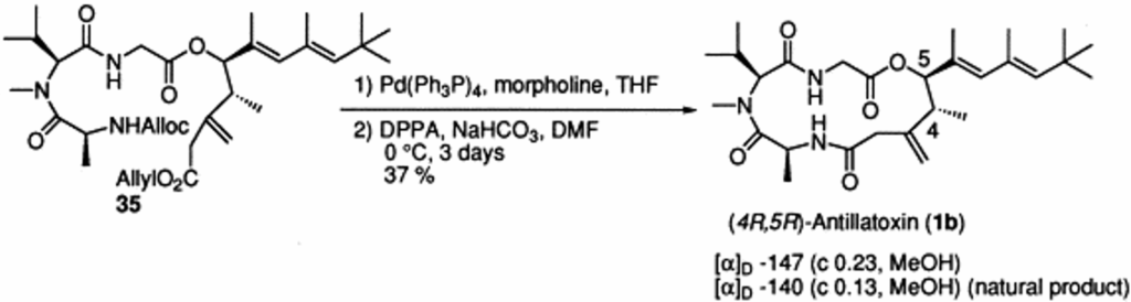 Alloc Protecting Group: Alloc Protection & Deprotection Mechanism