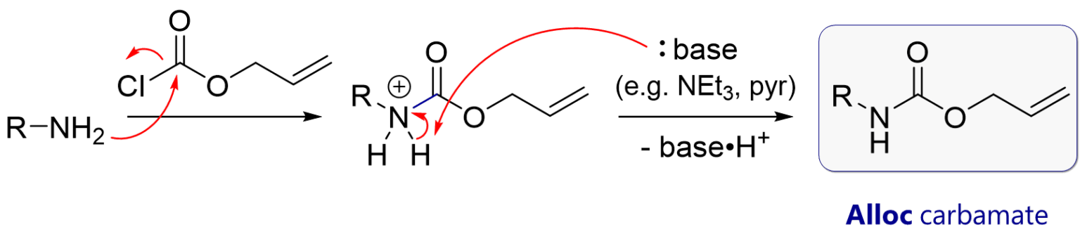Alloc Protecting Group: Alloc Protection & Deprotection Mechanism