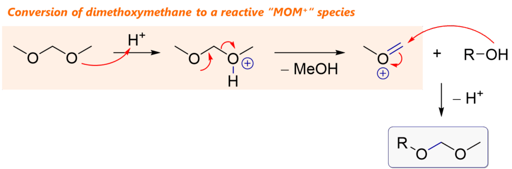 MOM Protecting Group: MOM Protection & Deprotection Mechanism